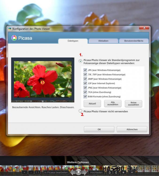 Picasa erstmals ausführen | akademie.de - Praxiswissen für Selbstständige